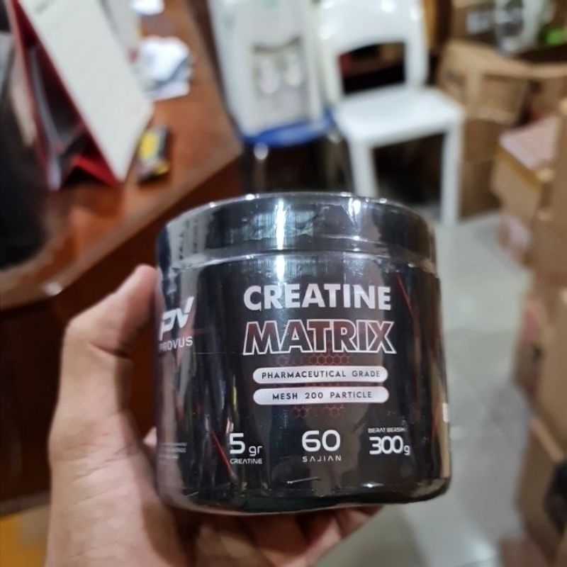 Jual provus creatine matrix monohydrate micronised ans 300 gram gr ...