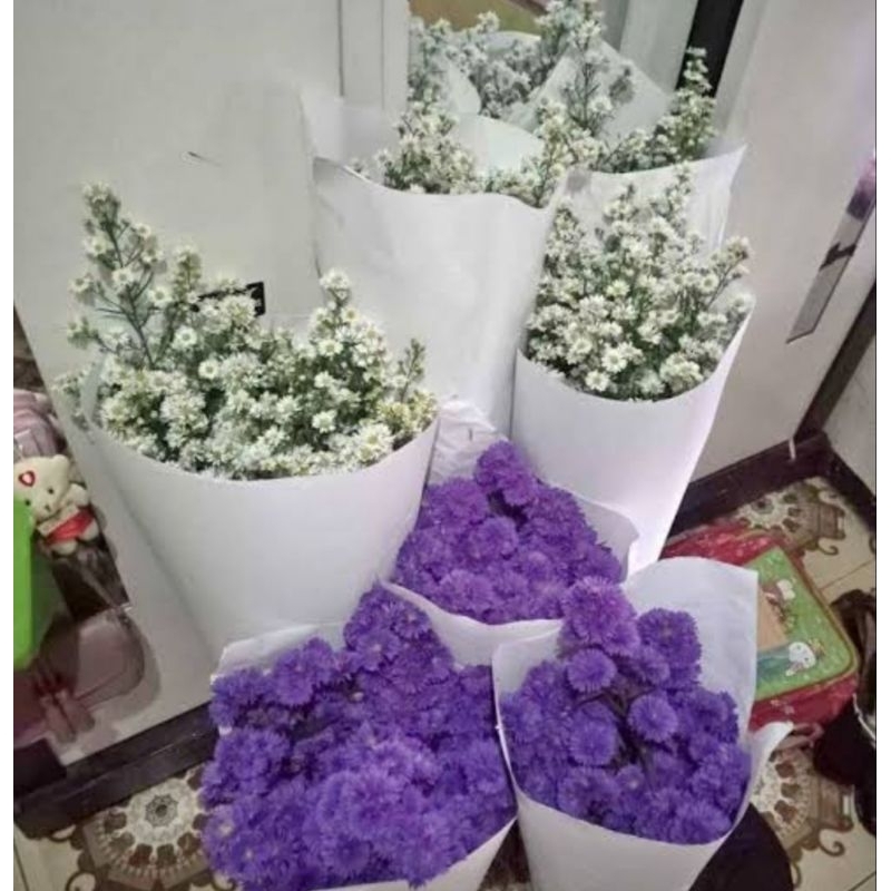 Jual Bunga Pikok/ Bunga Pekok Asli Fresh Segar | Shopee Indonesia