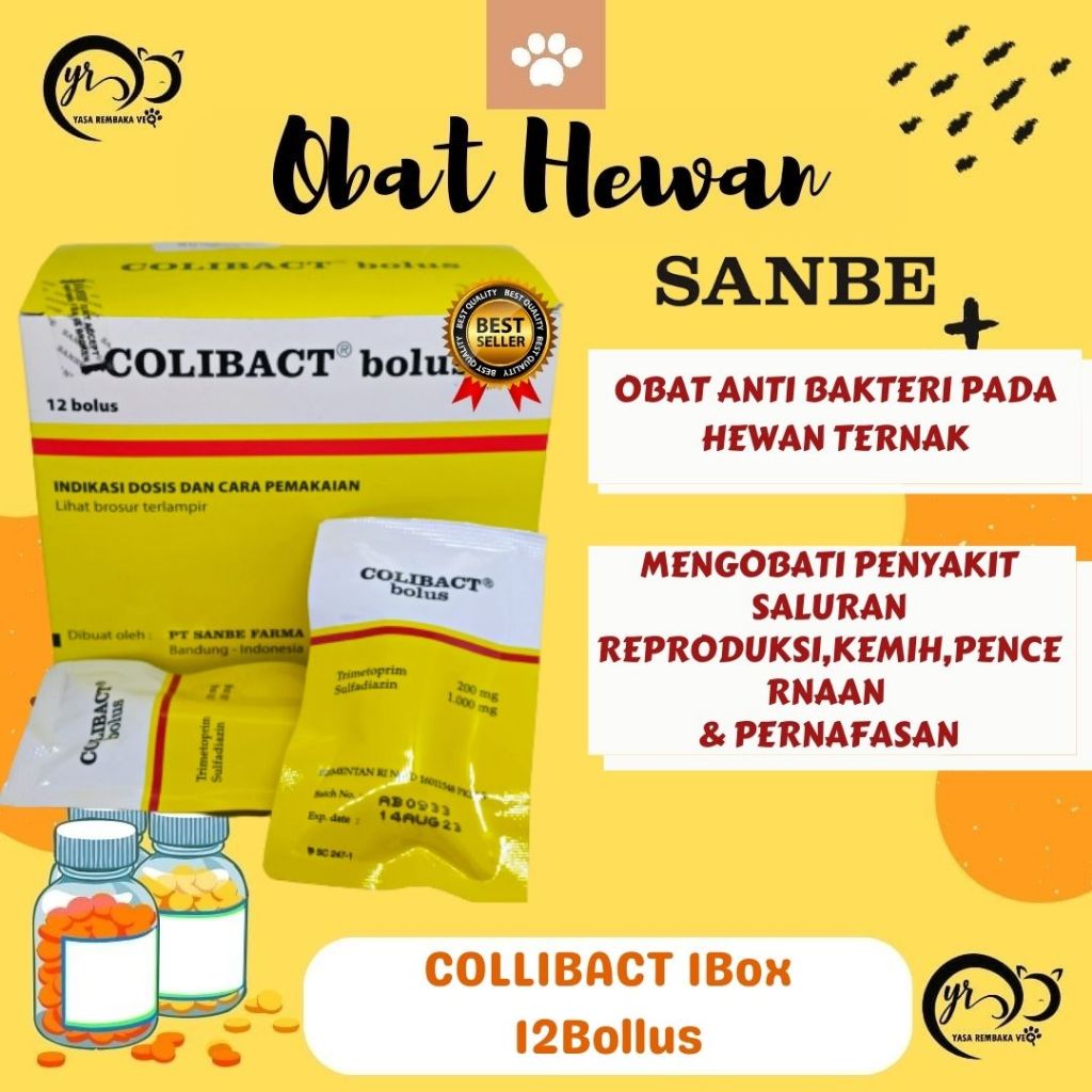 Jual COLIBACT BOLUS (12 Bollus) 1Box - Obat Antibiotik Hewan Untuk ...