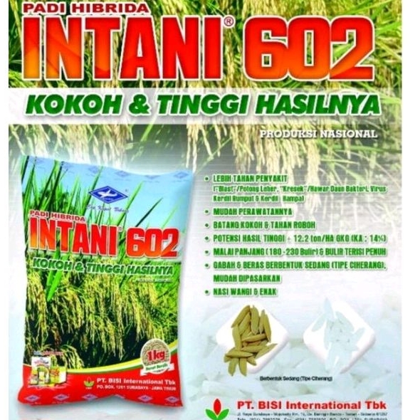 Jual benih padi hibrida Intani 602 exp 23 maret 2025 | Shopee Indonesia