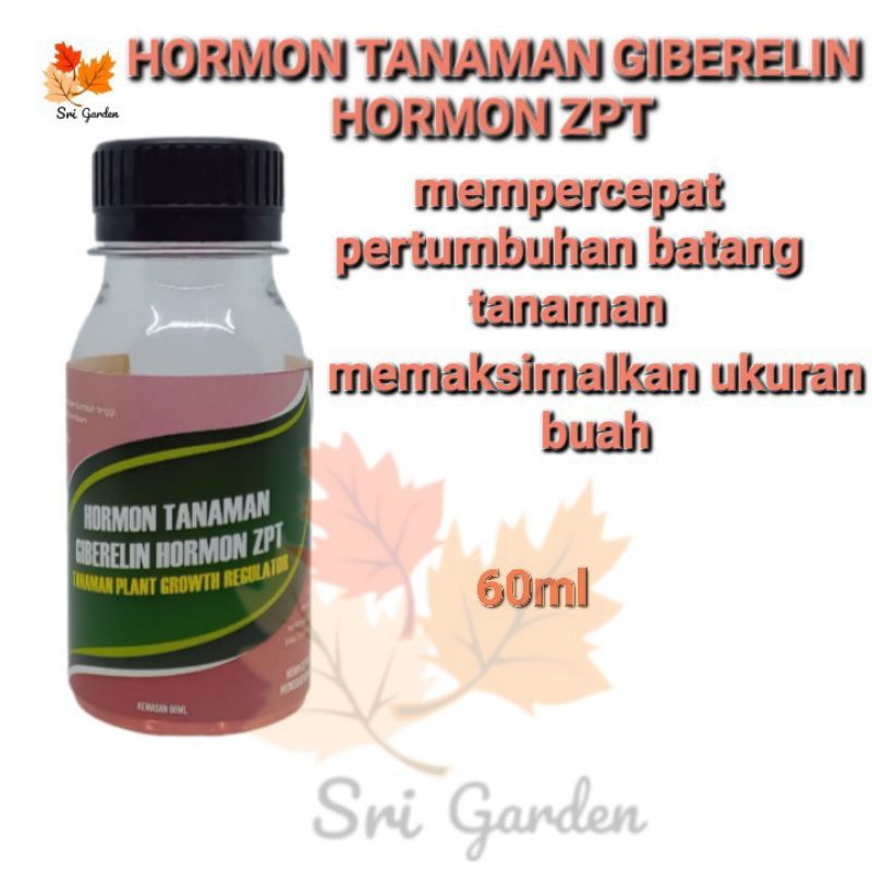 Jual Pupuk agar tanaman cepat besar hormon tanaman giberelin pemicu ...