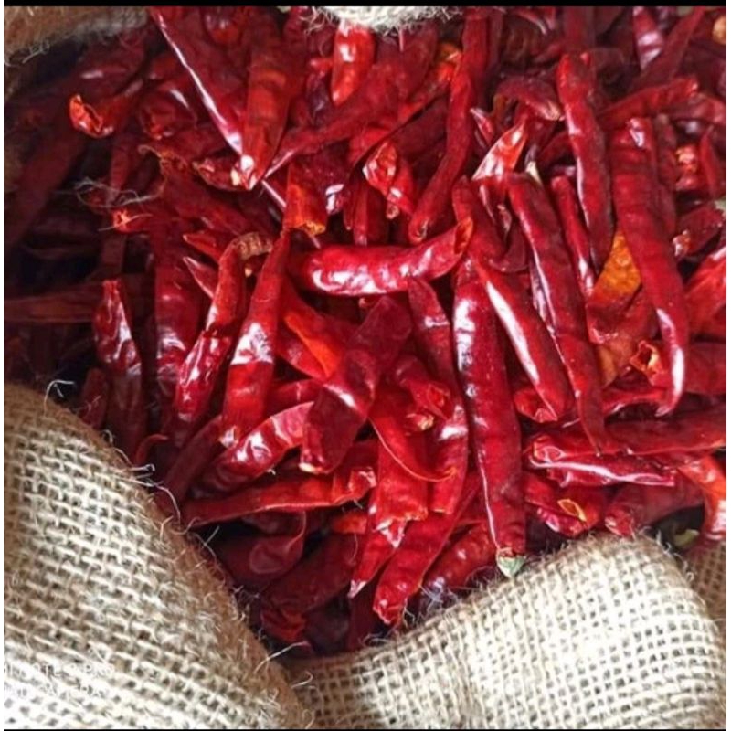 Jual CABE RAWIT TEJA CAPLAK KERING SUPER PEDAS 500 GRAM packing ...