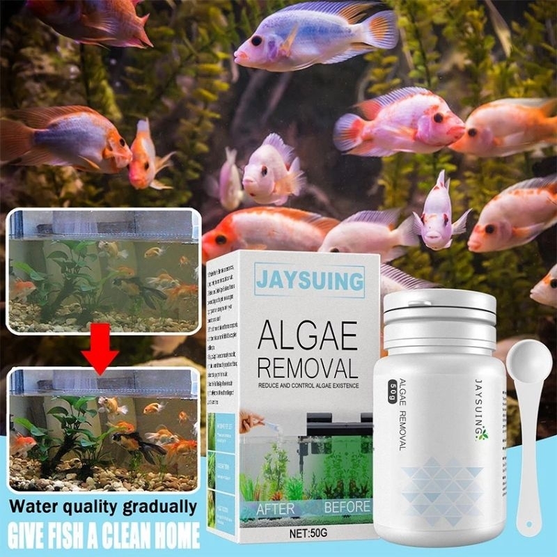 Jual Anti alga algae isi 50 tab/anti algae aquarium Aquascape/anti ...