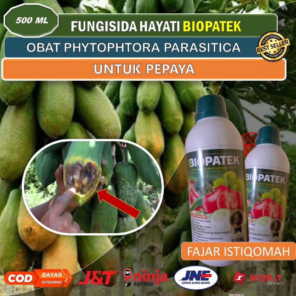 Jual BIOPATEK isi 500 ml fungisida hayati mengobati penyakit pada ...