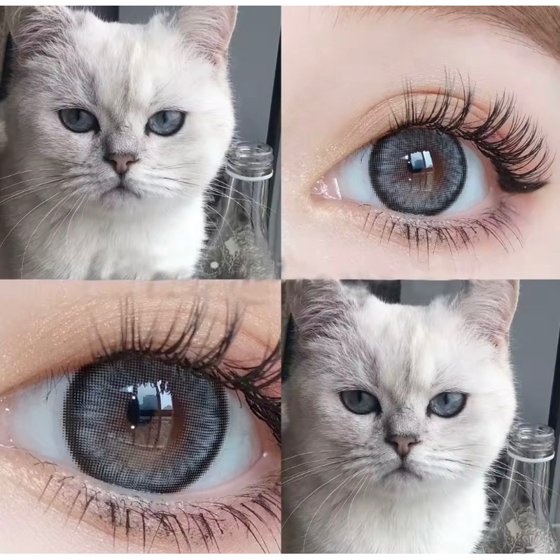 Jual Softlens Mysticeyes Lensa Mata 14.5MM | Shopee Indonesia