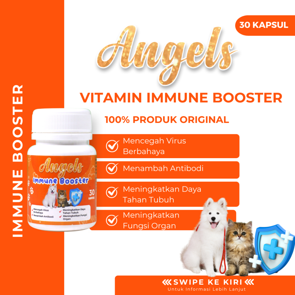 Jual Angels Immune Booster isi 30 Capsul Hewan Kucing Anjing Vitamin ...