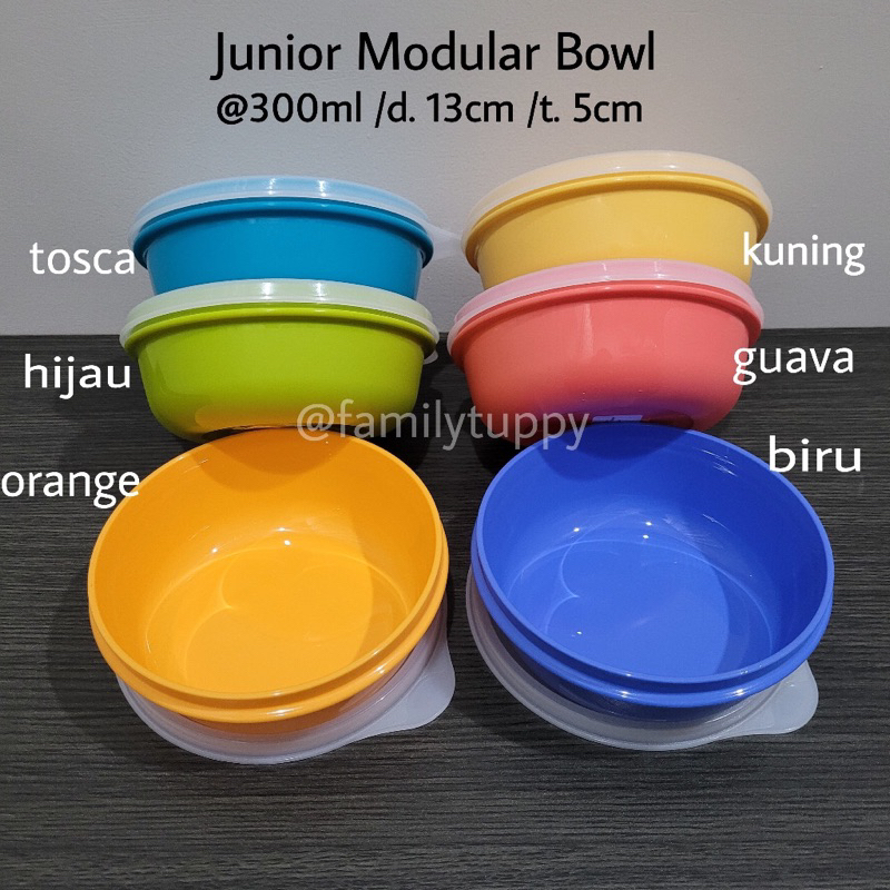 Jual TUPPERWARE SECOND PRELOVED, JUNIOR MODULAR BOWL 300 ML | Shopee ...