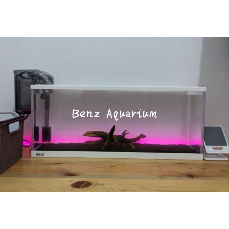 Jual Aquarium 60 cm Gex Slim Panjang 60 cm Aquarium Ikan | Shopee Indonesia