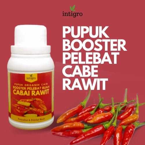 Jual PUPUK CAIR - MEMBANTU MENGGEMBURKAN TANAH - MELEBATKAN CABAI - PUPUK CABAI RAWIT - BOOSTER ...
