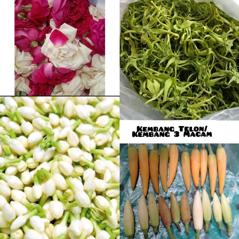 Jual Kembang Telon / Kembang 3 Rupa | Shopee Indonesia