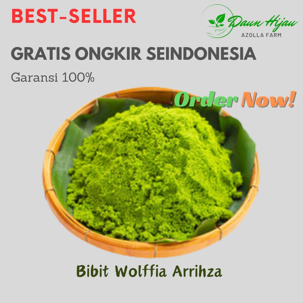 Jual Bibit wolffia super wolfia 500gram super Murah pakan Burayak,larva ...