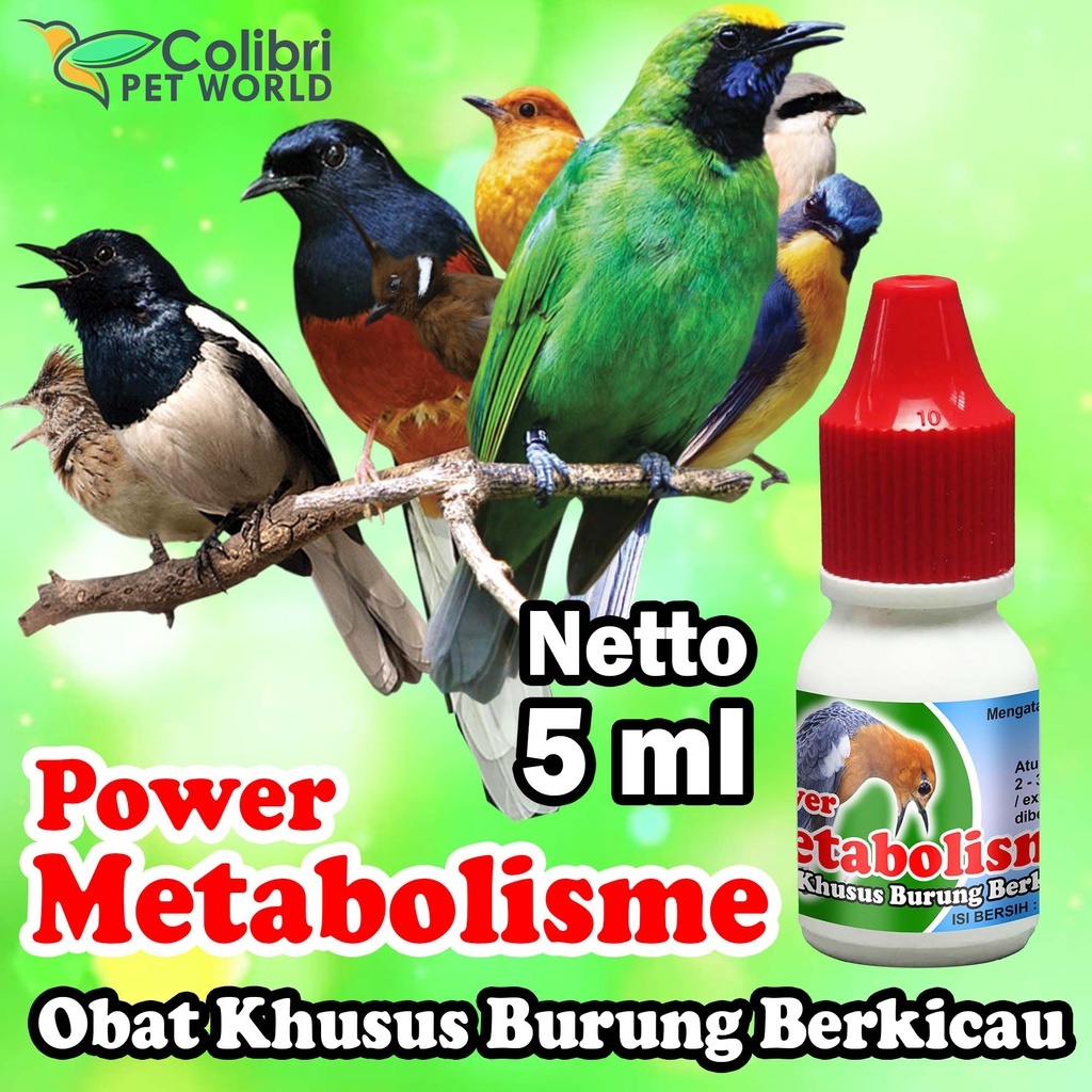 Jual POWER METABOLISME 5ml OBAT BURUNG SAKIT MACET BUNYI SULIT MABUNG ...