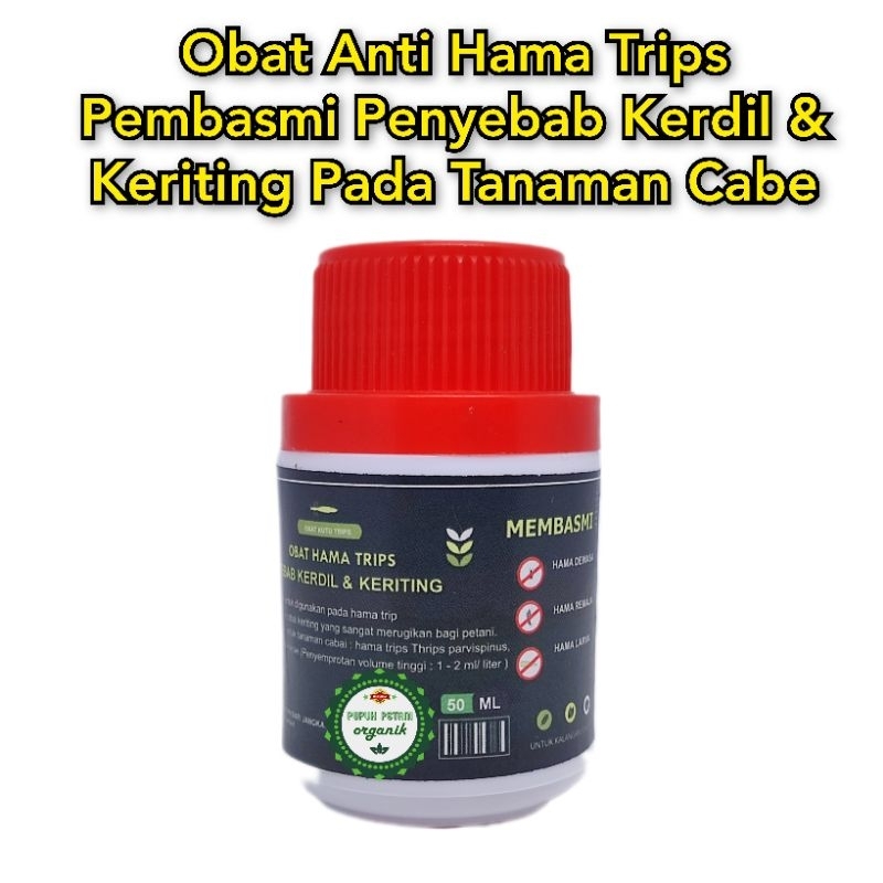 Jual Obat Anti Hama Trips Atasi Hama dan Serangga Bandel Pada Tanaman ...