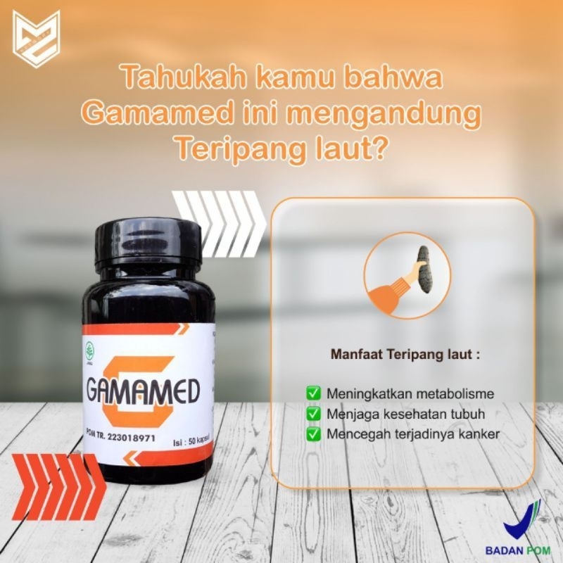 Jual GAMAMED TRIPANG MAS HEWAN LAUT YANG LAGI VIRAL POM TR 223018971 1 ...
