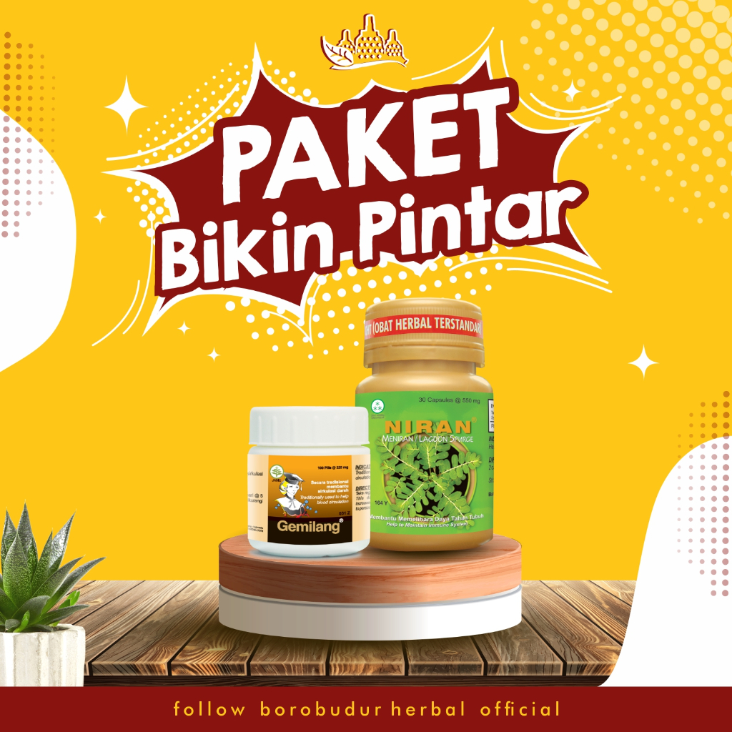 Jual Paket Bikin Pintar 1 Btl Gemilang 100 Pil + 1 Btl Niran 30 Kapsul | Shopee Indonesia