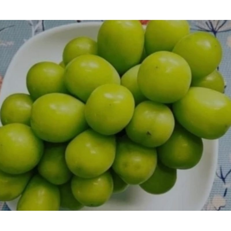 Jual Anggur Muscat 1 Kg | Shopee Indonesia