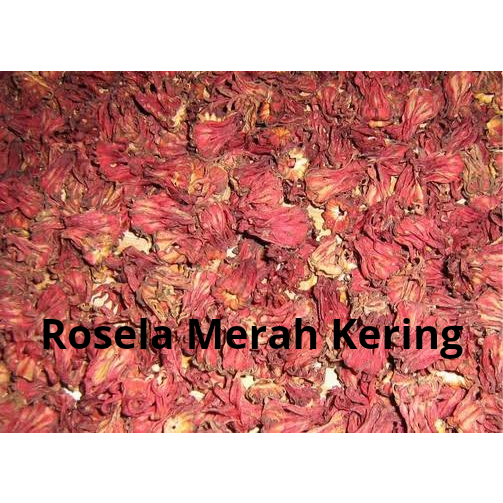 Jual Teh Bunga Rosella Merah Kering Kemasan 100gr | Shopee Indonesia