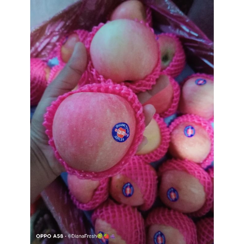 Jual Apel Fuji 1kg | Shopee Indonesia