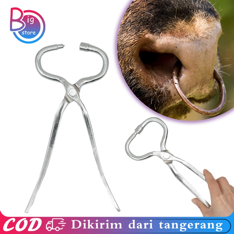 Jual Penjepit Hidung Sapi 35cm Tang Hidung Sapi Alat Tindik Hidung Sapi ...