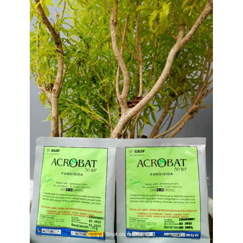 Jual Fungisida ACROBAT 50WP 10gr | Shopee Indonesia