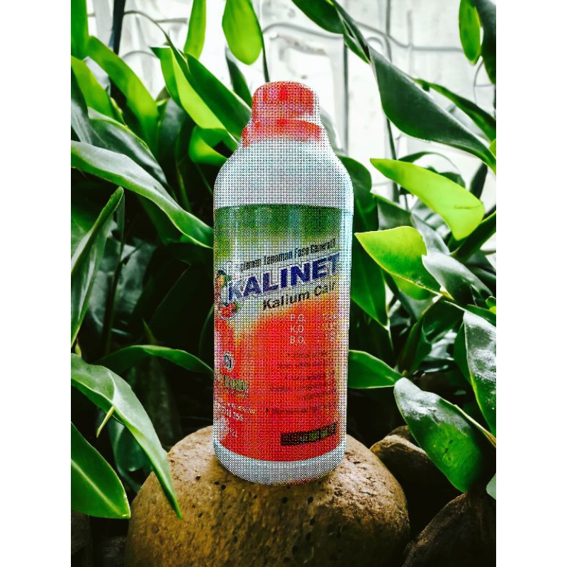 Jual KALINET 500ML KALIUM CAIR PUPUK FASE GENERATIF ATAU PEMBUAHAN ...