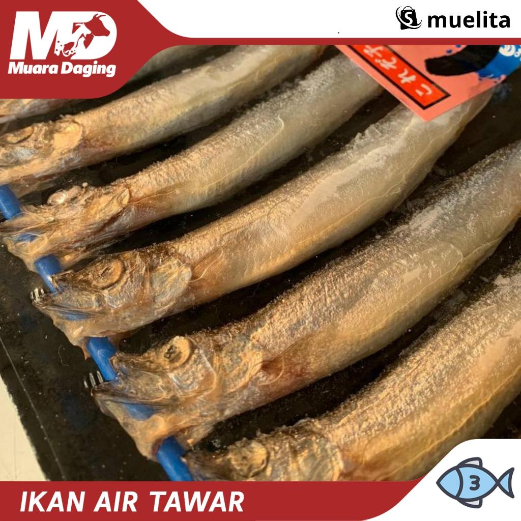 Jual Ikan Shisamo Capelin 8pcs 160-170gr - IKAN CIPUNG, TELUR SEPANJANG ...