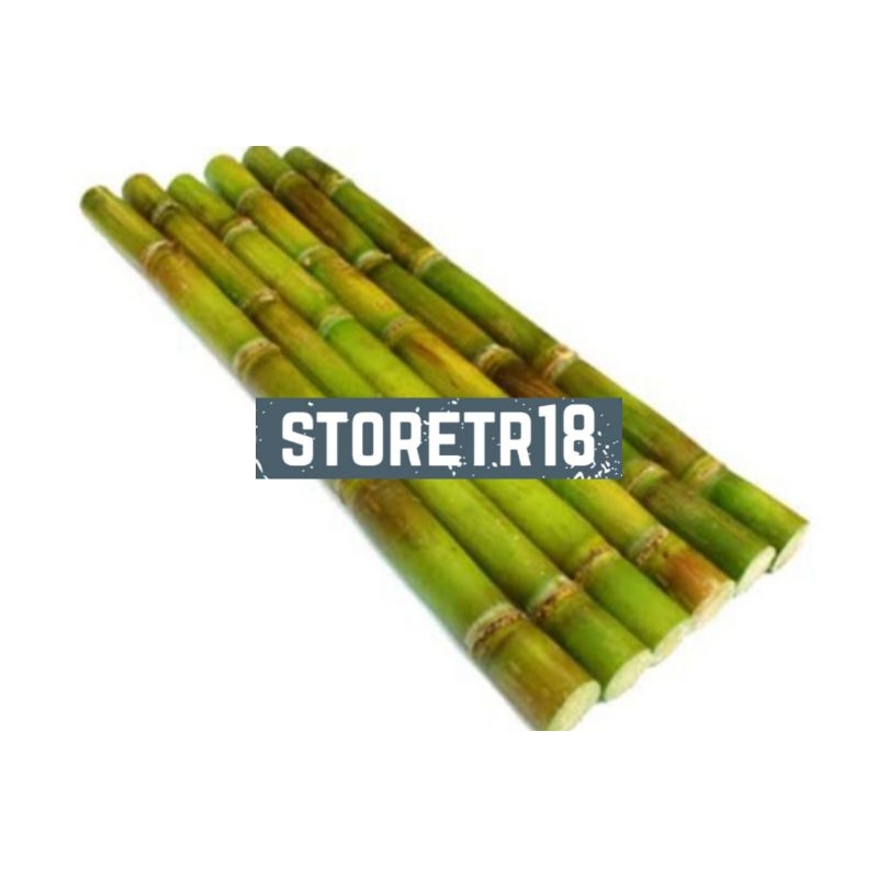 Jual Batang tebu hijau segar fresh 1 kg asli manis | Shopee Indonesia