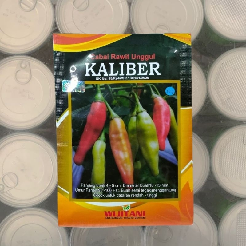 Jual Benih Cabe Rawit Kaliber cabai kaliber 10 Gr kemasan pabrik ...