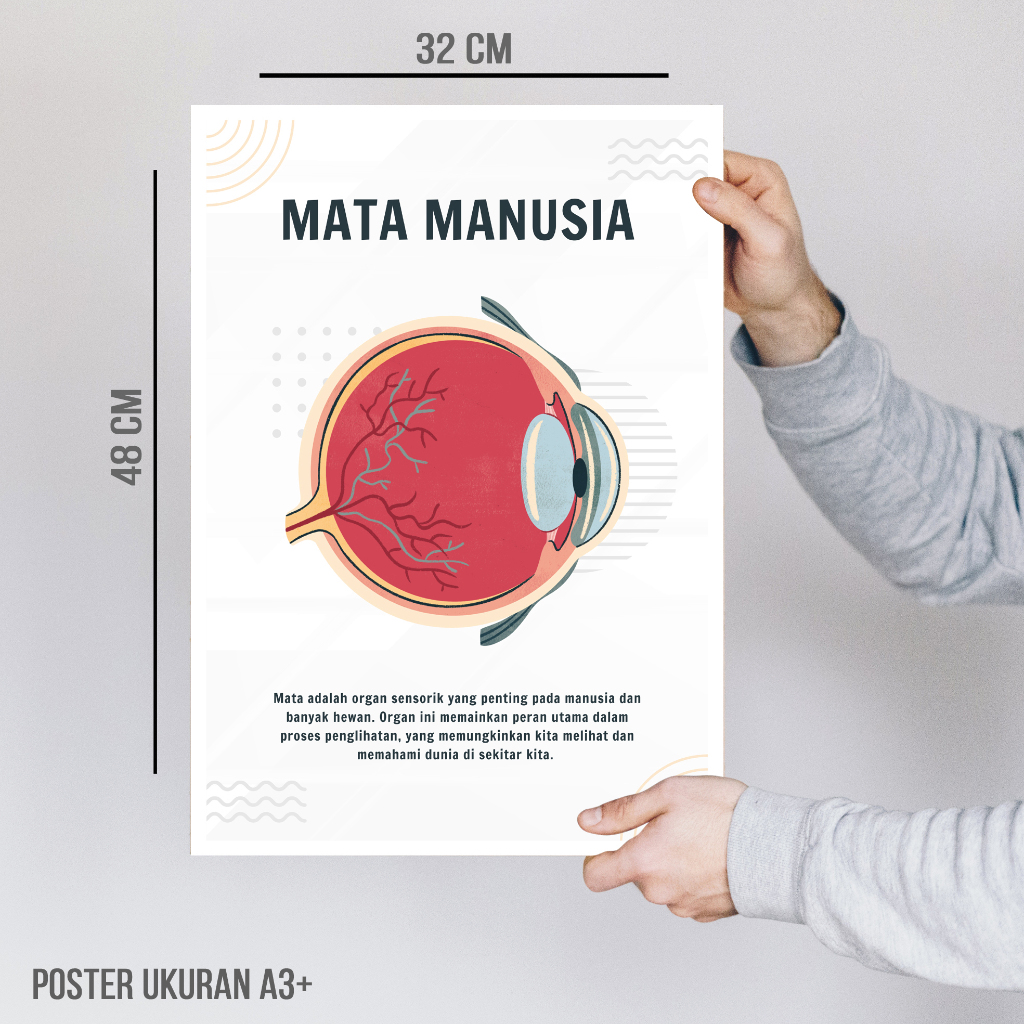 Jual Poster edukasi kesehatan mata ukuran A3 plus | Shopee Indonesia