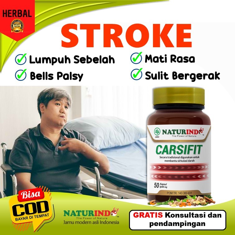 Jual Obat Stroke Ringan Berat Paling Ampuh Lumpuh Bells Palsy Strok ...