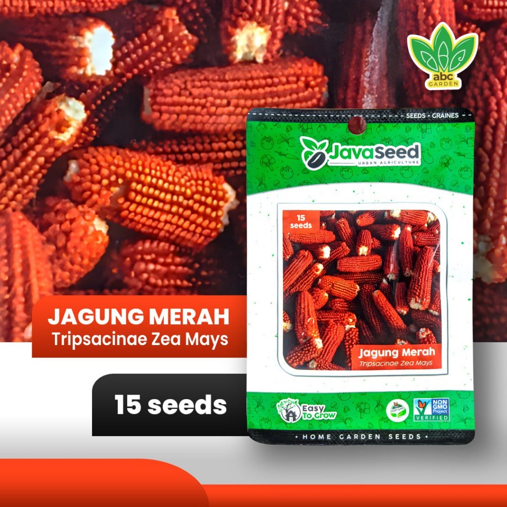 Jual [15 Seeds] Benih Jagung Merah Lokal Red Corn Hibrida | Shopee ...