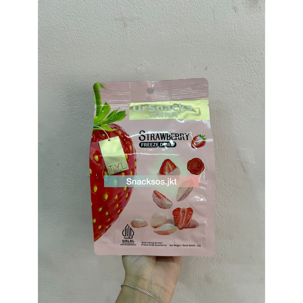 Jual TYL URSNACKS Freeze Dried Pure Apple / Durian Duren Vacuum / Peach / Strawberry / Mango ...