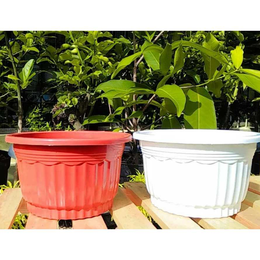 Jual POT GANTUNG WARNA 17 CARGO/ POT/ POT GANTUNG PUMBA/ POT BUNGA/ POT ...