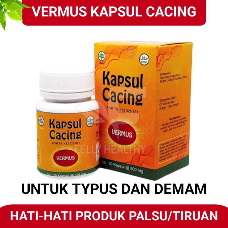 Jual Obat Tipes Ampuh Anak Dan Dewasa Tives Tifus Typus Herbal Kapsul ...