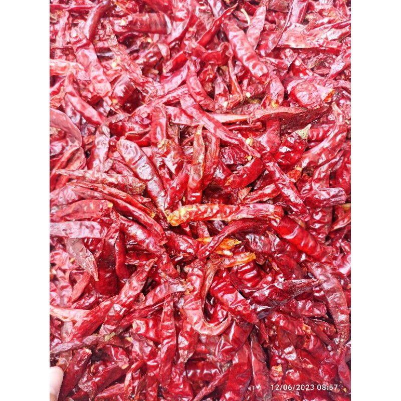 Jual MURAH 1 KG packing CABE RAWIT PEDAS /TEJA/CABE SEBLAK KWALITAS ...