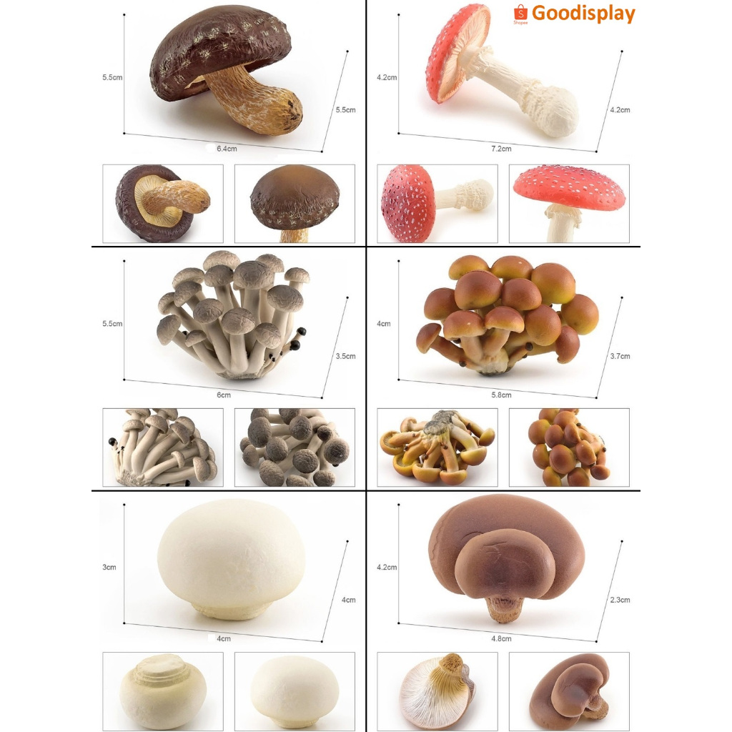 Jual aneka mainan edukasi siklus hidup hewan binatang animal figure ...