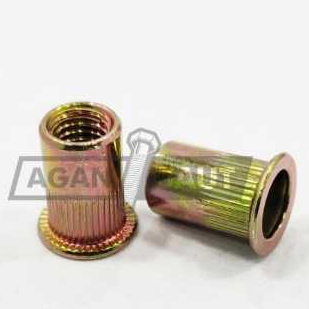 Jual Mur Rivet Nut M8 / Mur Tanam | Shopee Indonesia