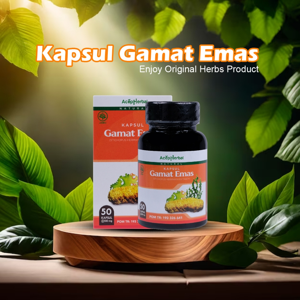 Jual Kapsul Gamat Emas Original 100% Ekstrak Teripang Emas Halal dan ...