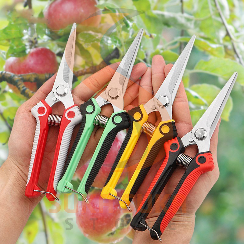 Jual Gunting Pemetik Pruning Floral Bonsai Buah Bunga Daun Pruning ...