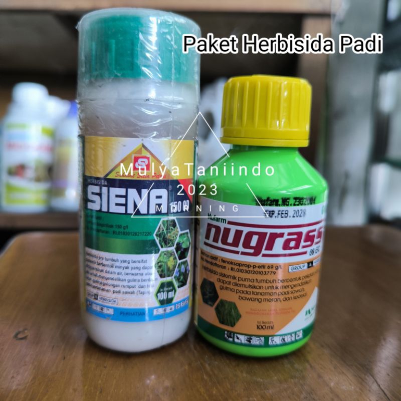 Jual Paket Herbisida Padi segala jenis gulma padi Siena 100 nugras 100 ...