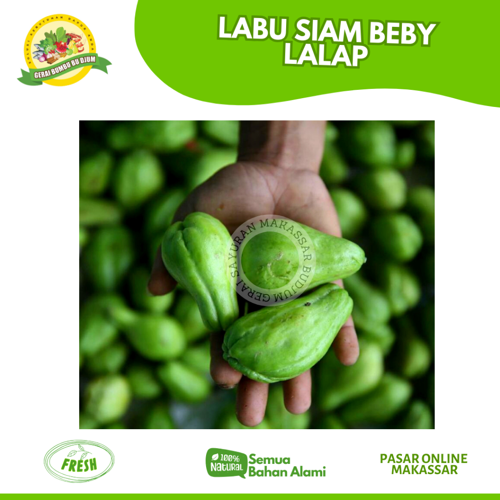 Jual Sayur Sayuran BABY LABUSIAM FRESH PER KG 500gr Segar Murah Sayur ...