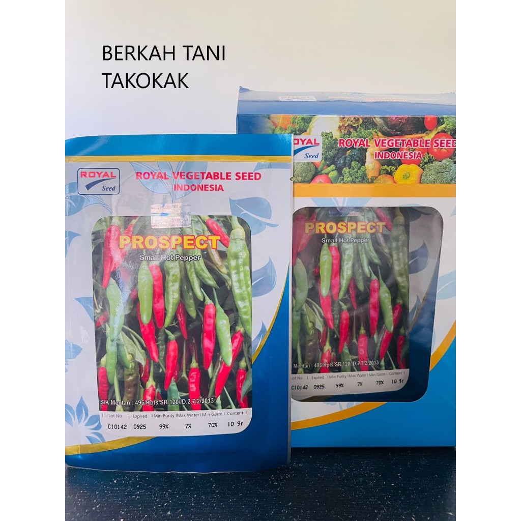 Jual Benih cabe rawit dari royal seed PROSPECT 10gram ROYAL VEGETABLE ...