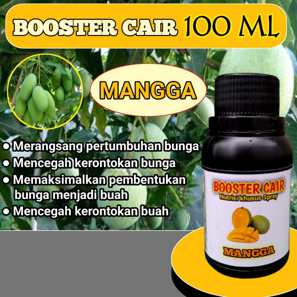 Jual Pupuk booster mangga 100 ml nutrisi perangsang bunga dan pelebat buah anti rontok termurah ...
