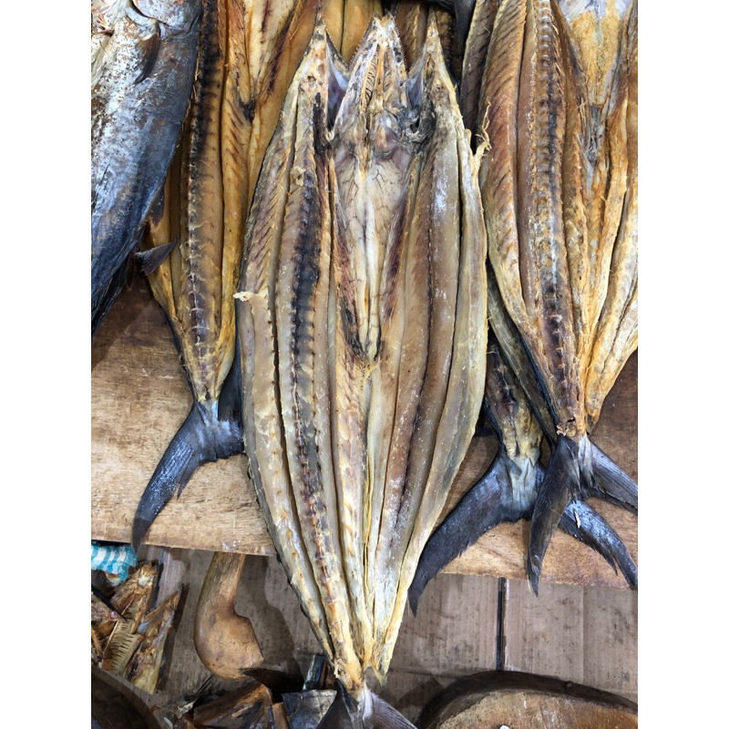 Jual Tenggiri 2,25 kg | Shopee Indonesia