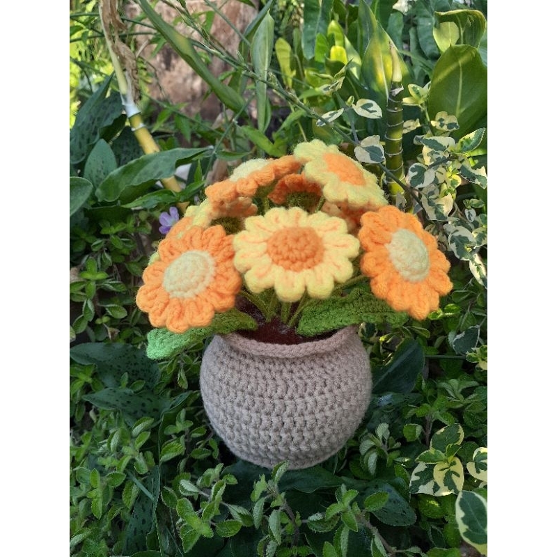 Jual Pot Bunga Daisy Rajut/Bunga Rajut/Daisy Flower Crochet | Shopee ...