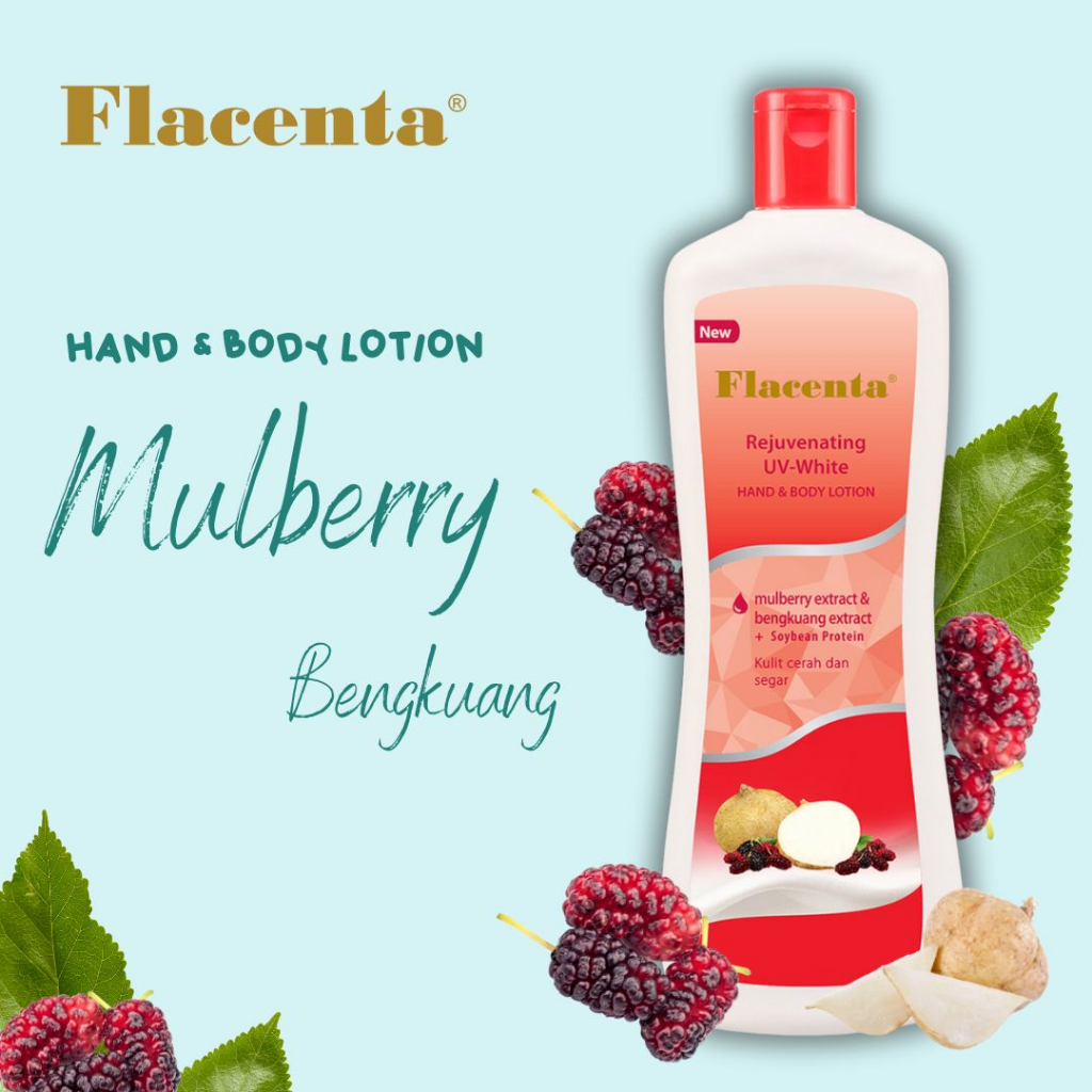 Jual PLACENTA / FLACENTA HAND & BODY LOTION MULBERRY & BENGKUANG 500 ML ...