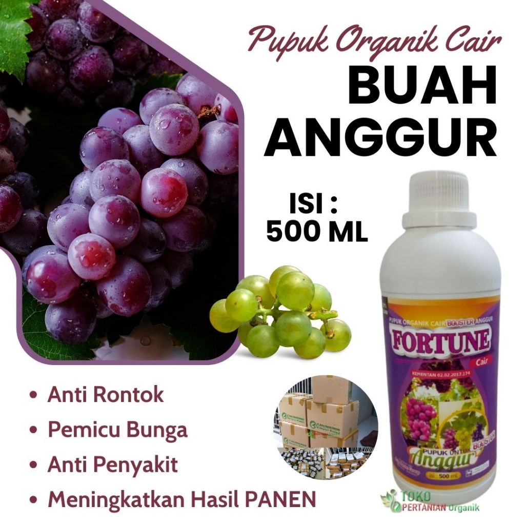 Jual Pupuk Booster Fortune anggur lengkap, Nutrisi untuk anggur agar cepat berbuah | Shopee ...
