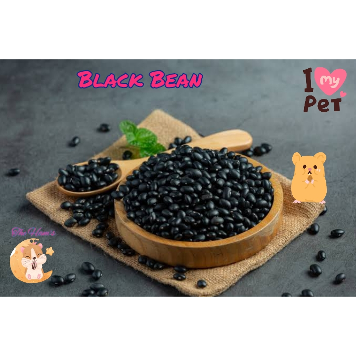 Jual (The Ham's) Black Bean Kacang Kedelai Hitam snack makanan Hamster ...