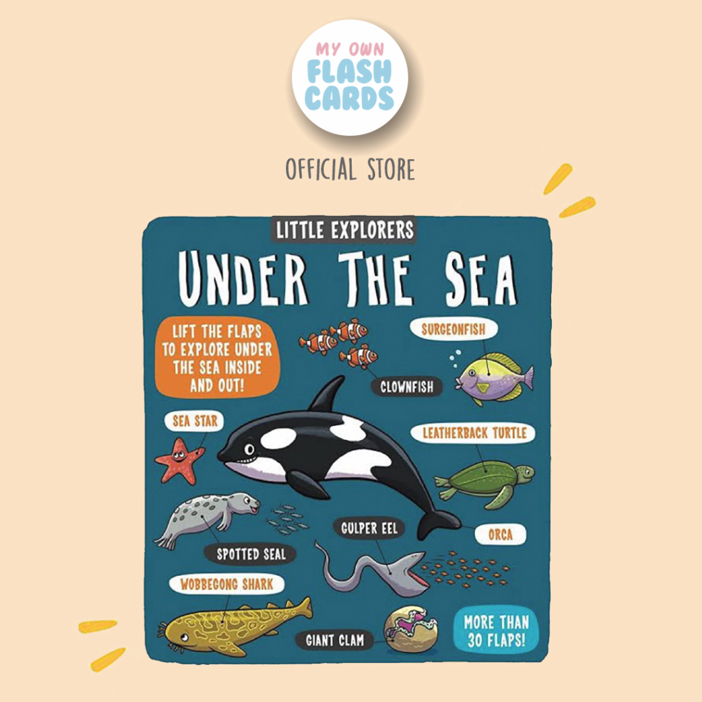 Jual Little Explorers - Under The Sea - Board Book Lift the Flap ...