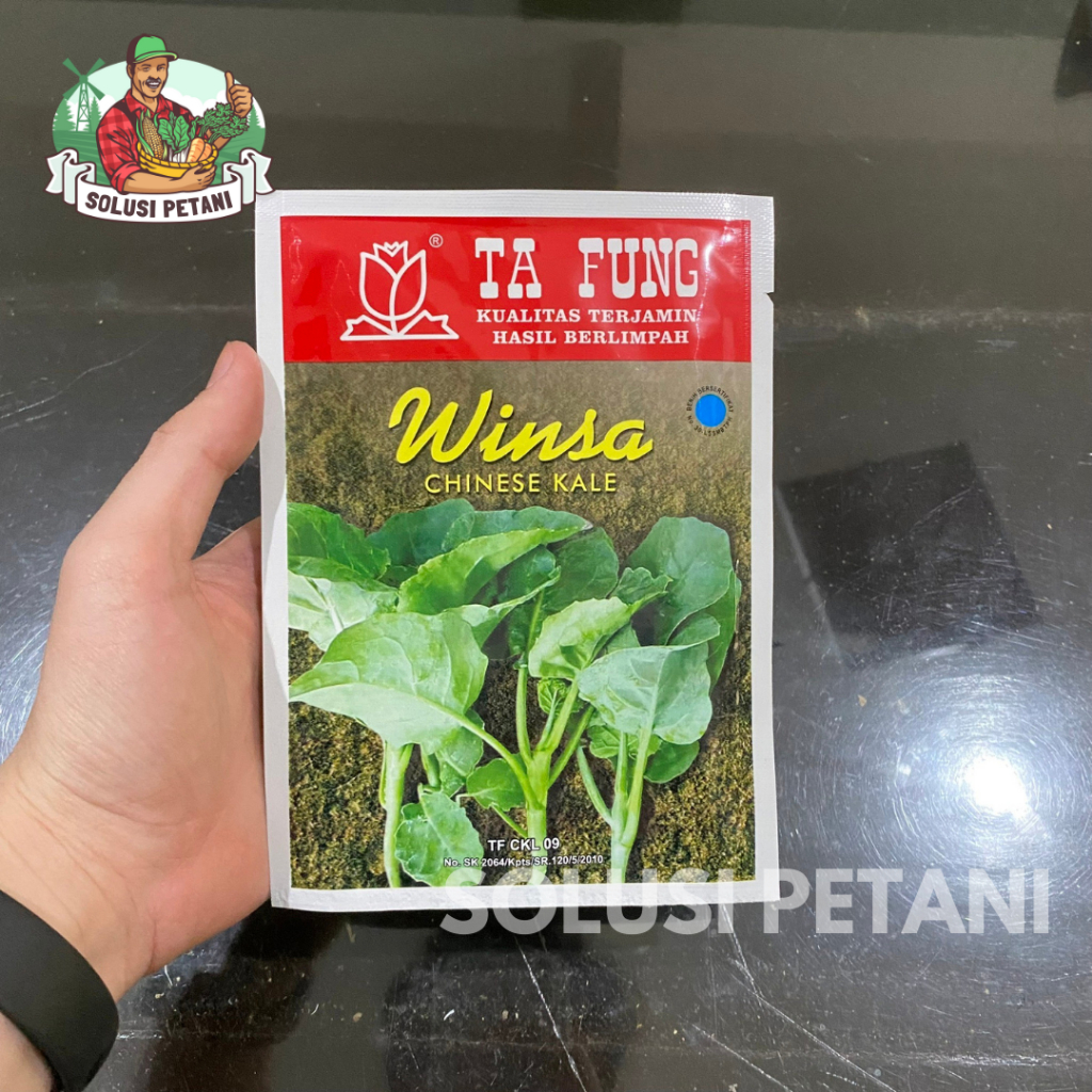 Jual Benih Kailan Chinese Kale Winsa Sharp Leaf 20gr (5.650 Biji) Bibit ...